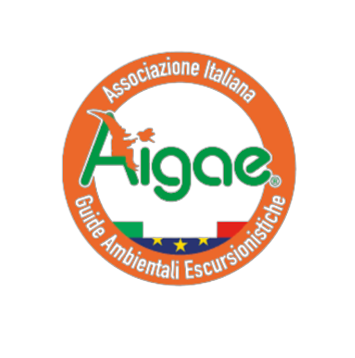 AIGAE